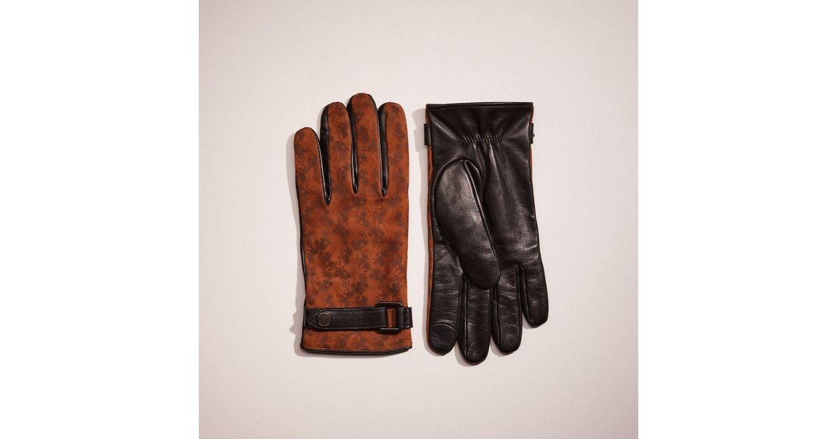 COACH Restored Horse And Carriage Tech Napa Gloves in Brown for Men | Lyst
