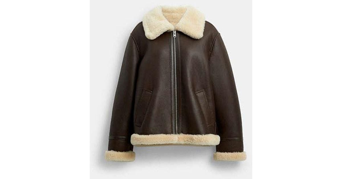 COACH Aviator Shearling Jacket in Black | Lyst