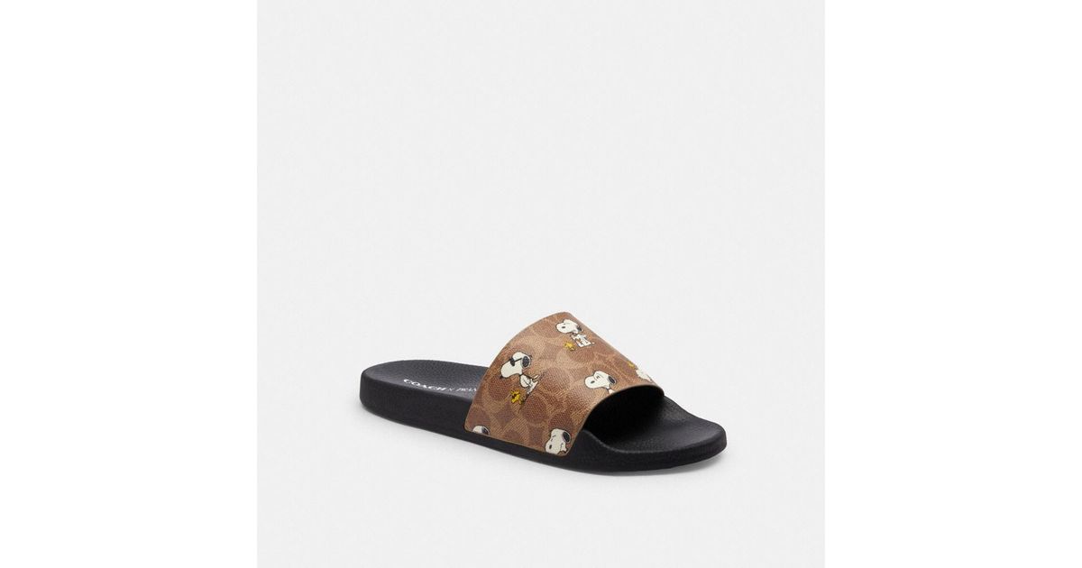 COACH X Peanuts Udele Sport Slide In Signature Canvas With Snoopy Print ...