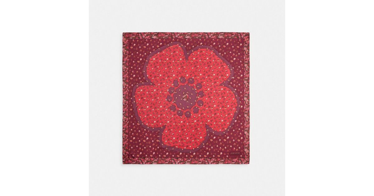 COACH Tea Rose Floral Print Silk Square Scarf in Red | Lyst