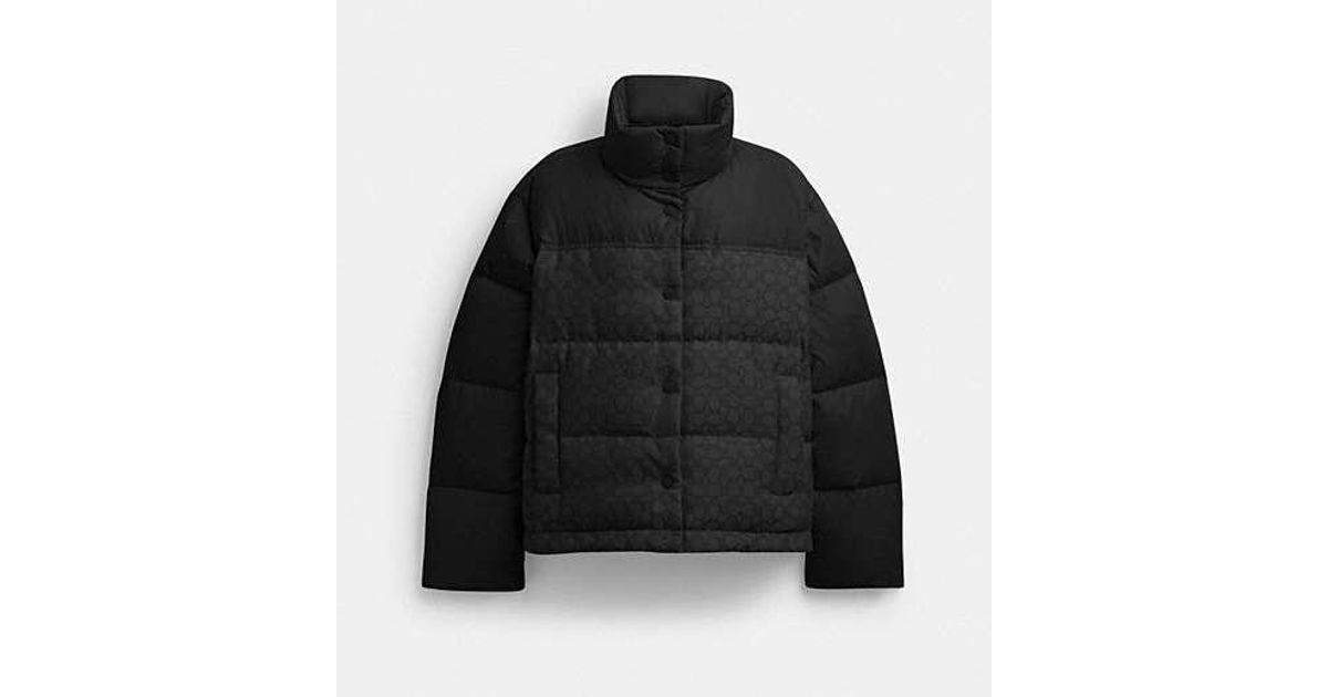 COACH Signature Down Jacket in Black | Lyst UK