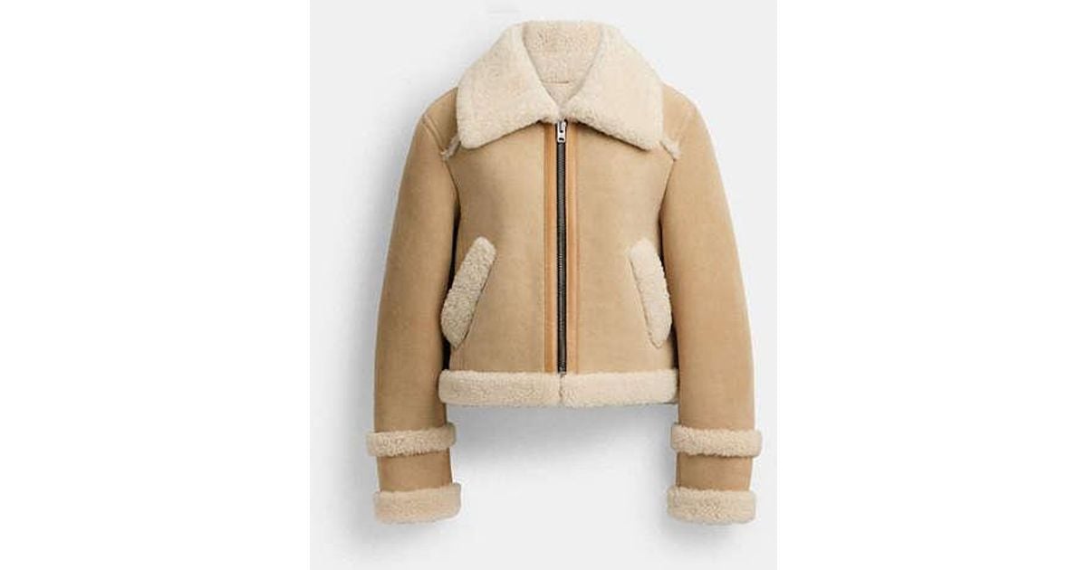 COACH Short Shearling Jacket in Black | Lyst