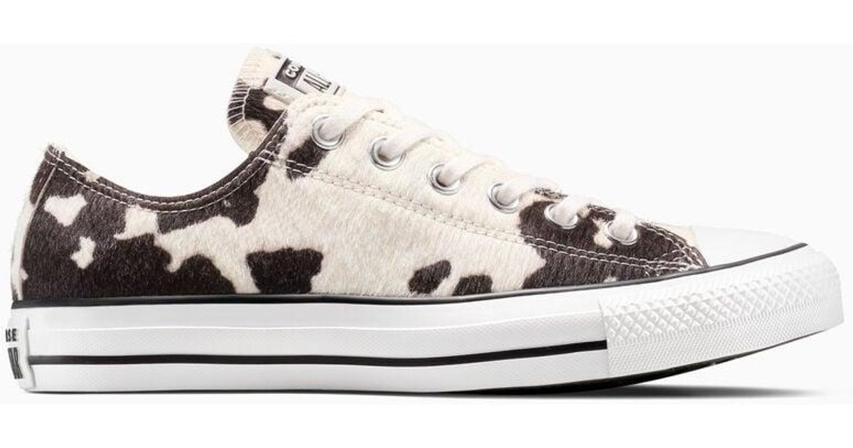 Converse Chuck Taylor All Star Cow Print Pony Hair in White | Lyst UK