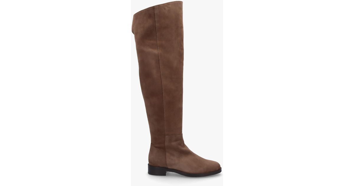 Daniel Giselle Taupe Suede Over The Knee Boots in Brown | Lyst UK