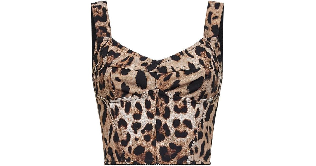 Dolce & Gabbana Leopard Print Bustier Top in Black | Lyst UK