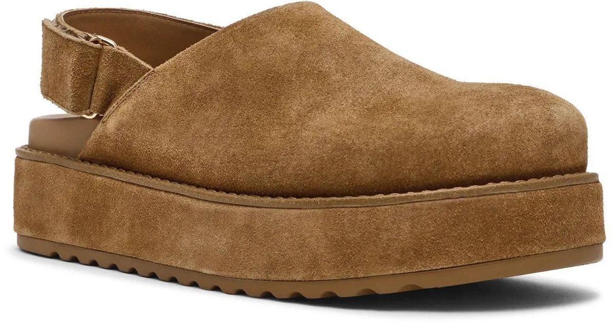Steve Madden Mellow Clog in Brown | Lyst