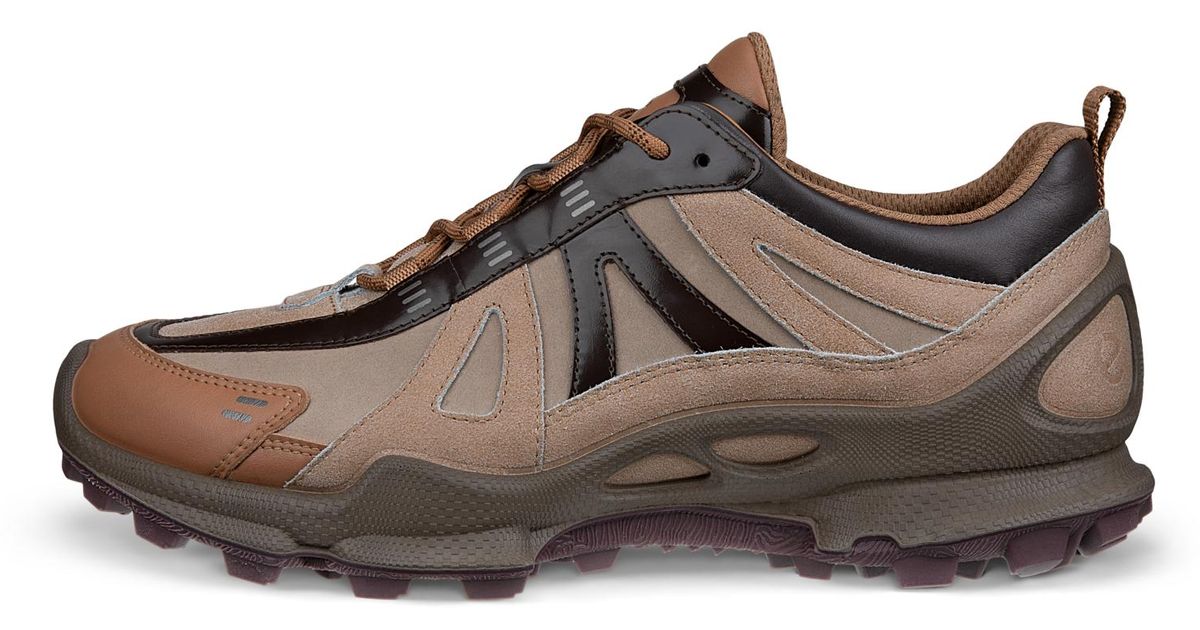 Ecco Biom C-Trail in Brown for Men | Lyst