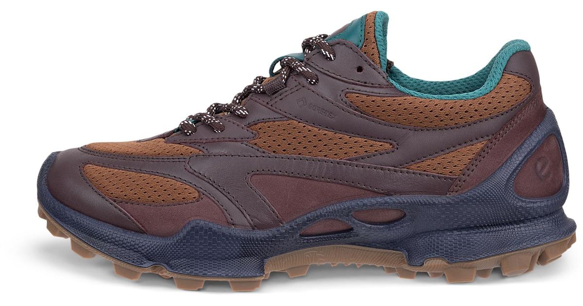Ecco Biom C-Trail in Brown | Lyst UK