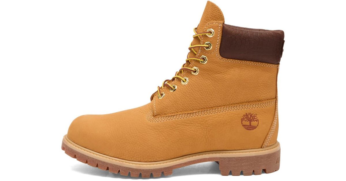 Timberland X Avirex 6 Inch Boot in Brown for Men | Lyst