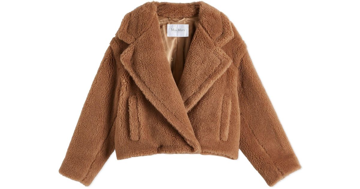 Max Mara Gardone Cropped Fluffy Coat in Brown | Lyst