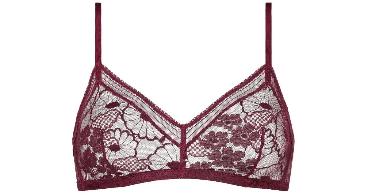 Eres Royal Triangle Bra in Purple | Lyst