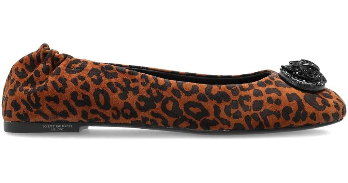 Kurt Geiger Chelsea Leopard-Print Ballet Flats in Brown | Lyst