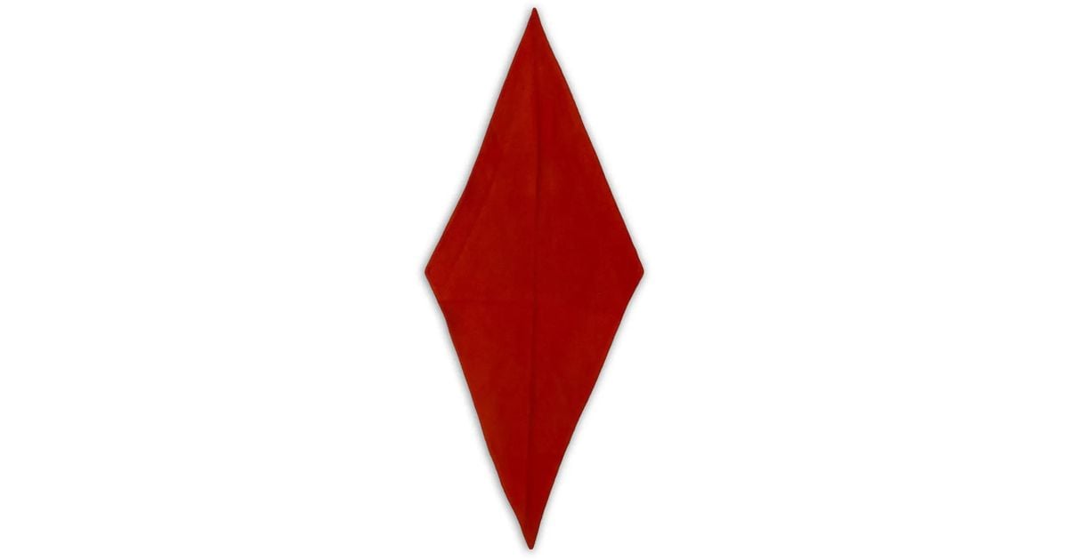 Rier Fleece Scarf in Red for Men | Lyst UK