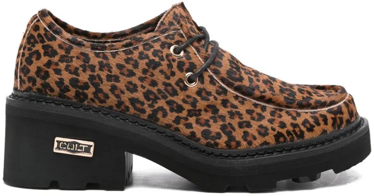 Cult Leopard-Print Derby Shoes in Brown | Lyst UK