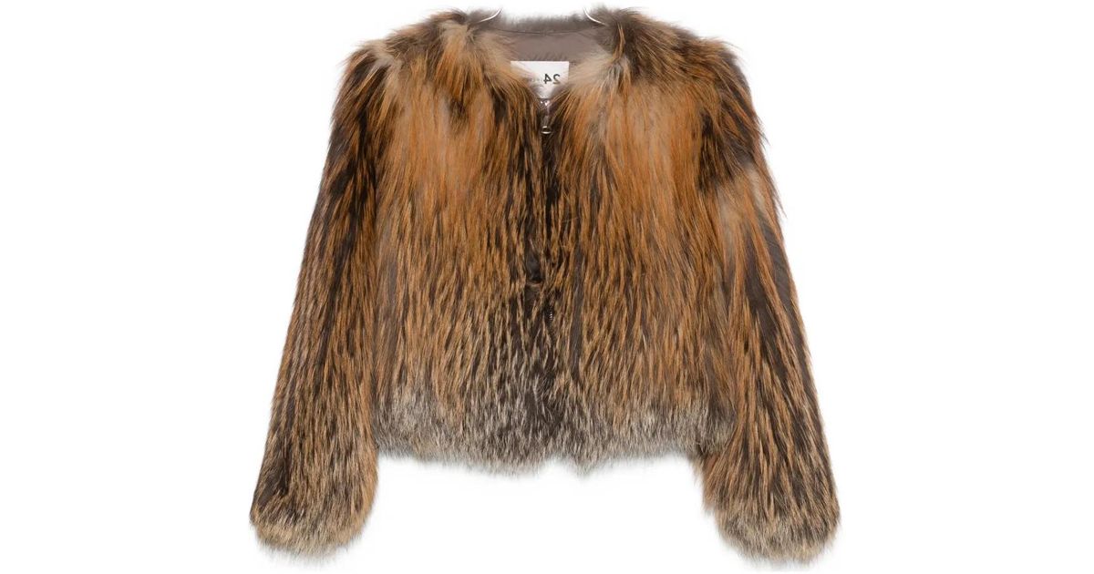 Manzoni 24 Crew-Neck Fur Jacket in Brown | Lyst UK