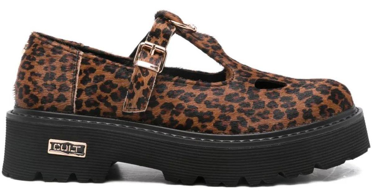 Cult Leopard-Print Pumps in Brown | Lyst