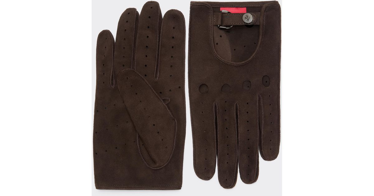 Ferrari Suede Leather Driving Gloves in Brown for Men | Lyst UK