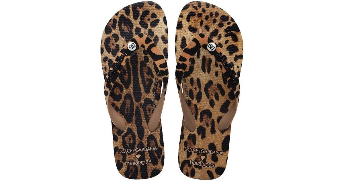 Havaianas X Dolce And Gabbana Leopard Flip Flops in Black | Lyst UK