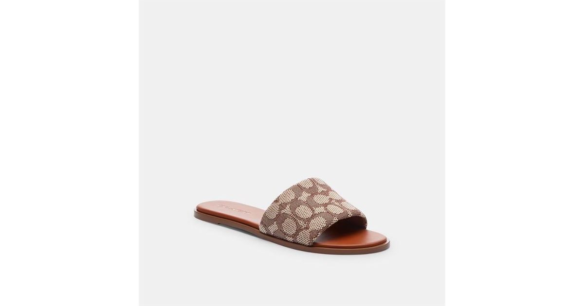COACH Holly Sandal In Signature Textile Jacquard in Brown | Lyst UK