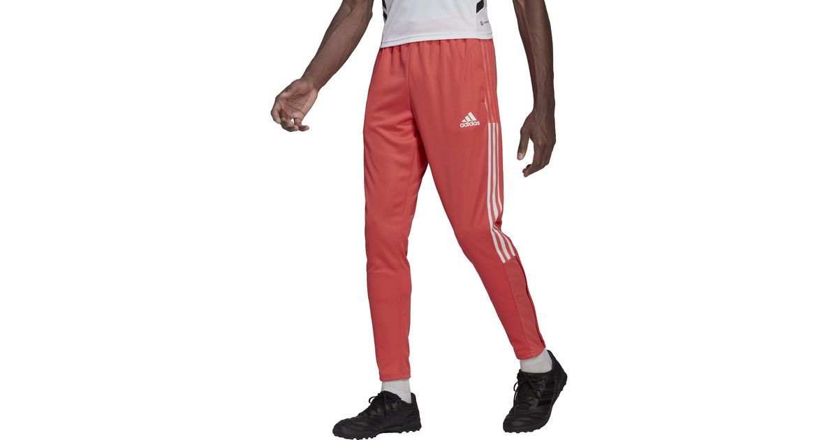 adidas Synthetic Tiro 21 Pants in Pink/White (Red) for Men | Lyst adidas Synthetic Tiro 21 Pants in Pink/White (Red) for Men | Lyst