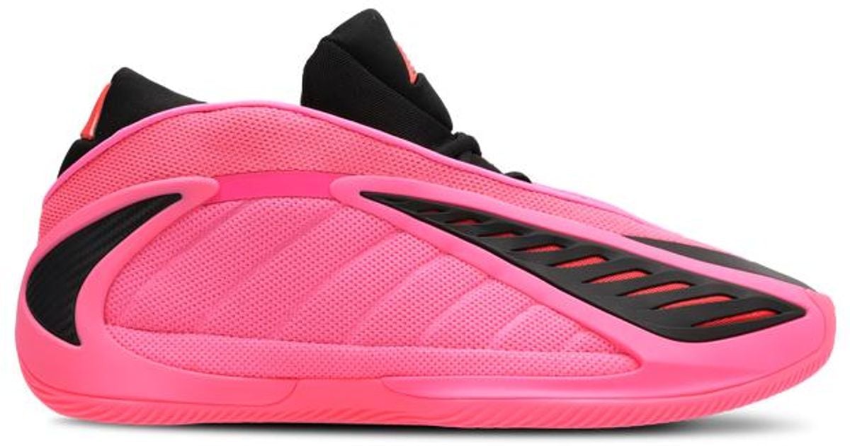 adidas Anthony Edwards Sneakers in Pink for Men | Lyst UK
