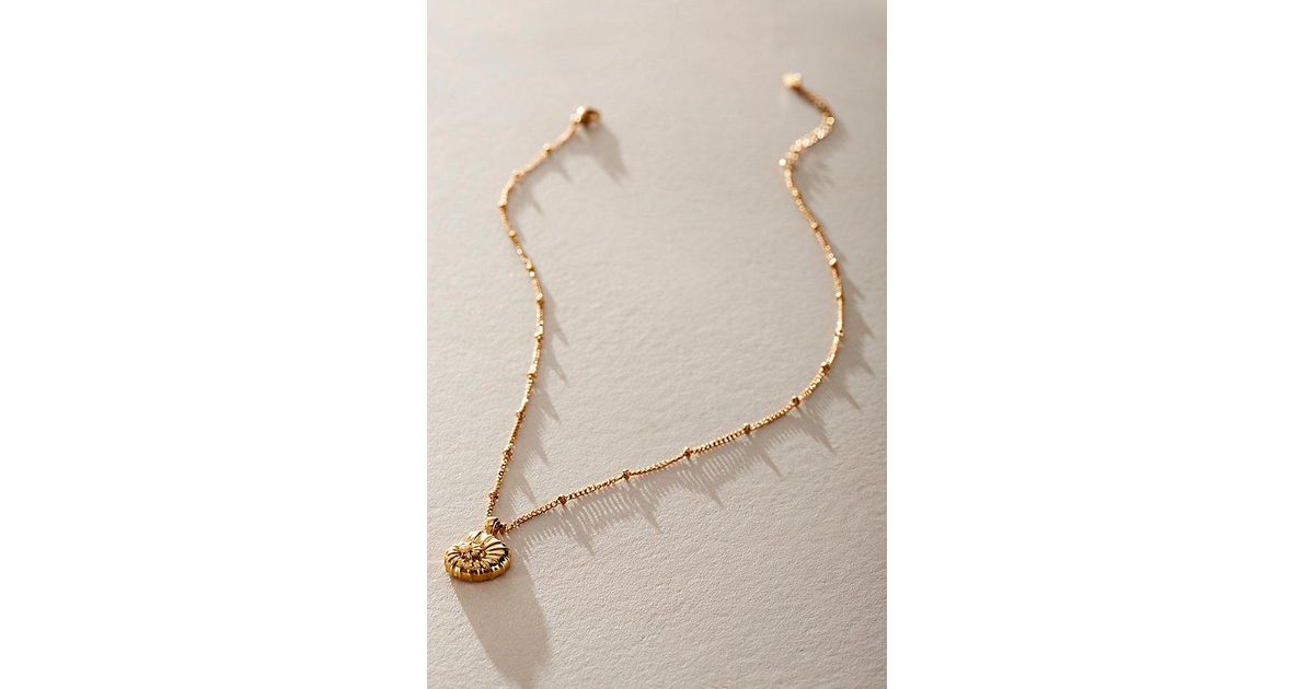 The Crystal Boutique Tcb Shell Necklace in Natural | Lyst