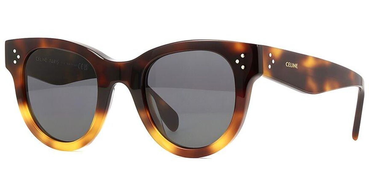 Celine Cl4003In 48Mm Sunglasses in Brown | Lyst UK