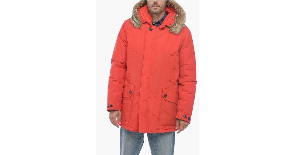 Woolrich Daytona Parka Jacket With Real Coyote Fur in Red for Men | Lyst UK