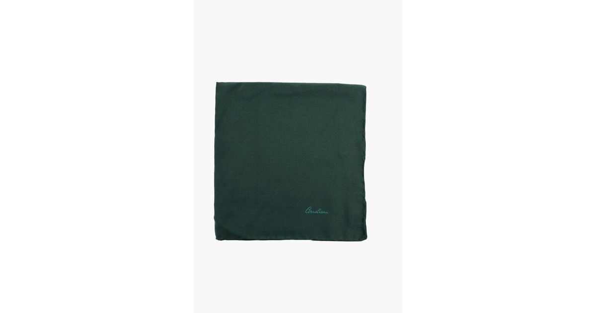 Corneliani Solid Color Silk Pocket Square in Green for Men | Lyst UK