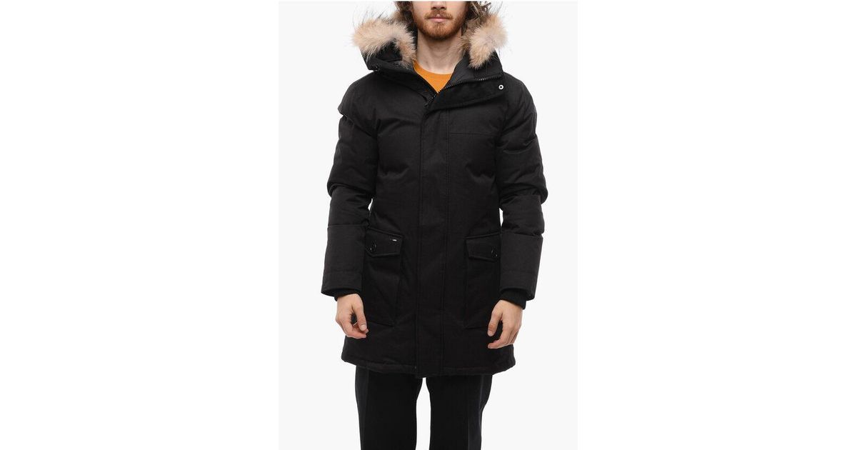 Nobis Multipocketed Yves Down Jacket With Coyote Fur in Black for Men ...