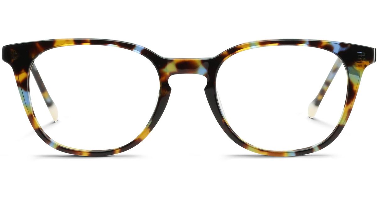 Le Specs Believer/Tortoise in Black | Lyst