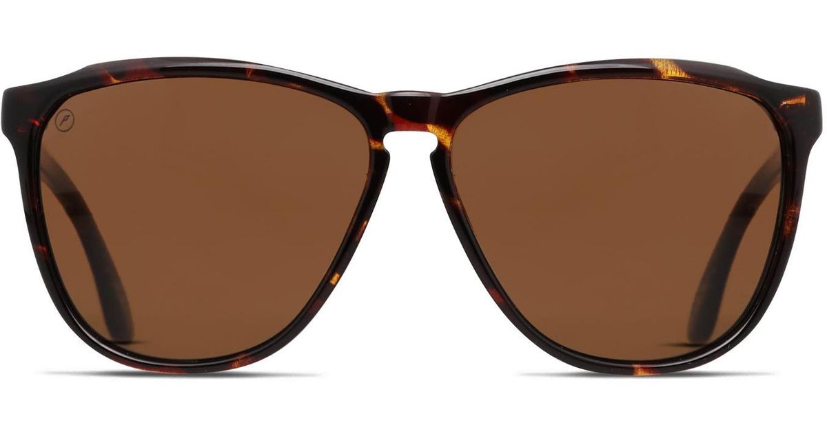 Electric Visual Electric Encelia/Tortoise in Black | Lyst
