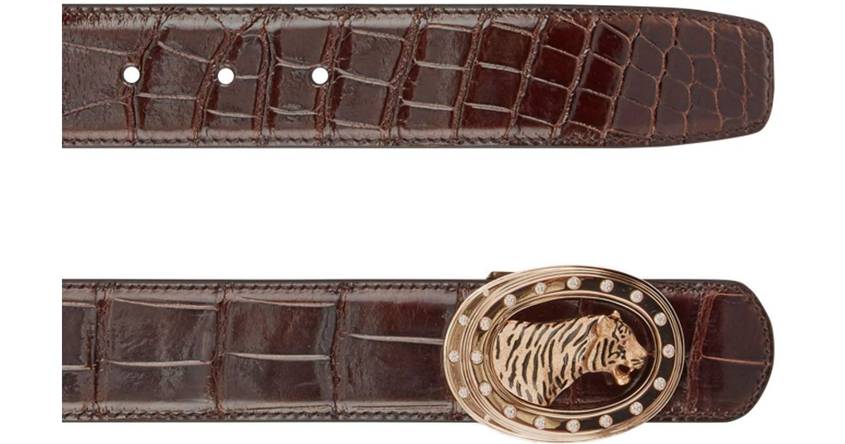 Stefano Ricci Tiger Diamond Belt in Brown for Men | Lyst UK