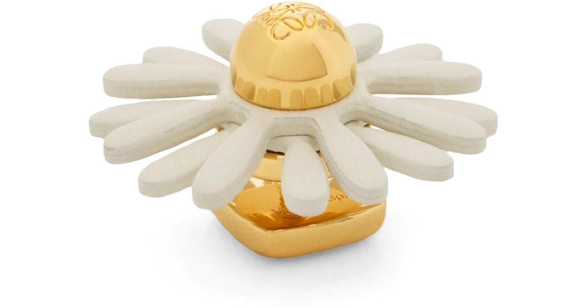 Loewe X Paula's Ibiza Leather-Trim Flower Pin in White | Lyst