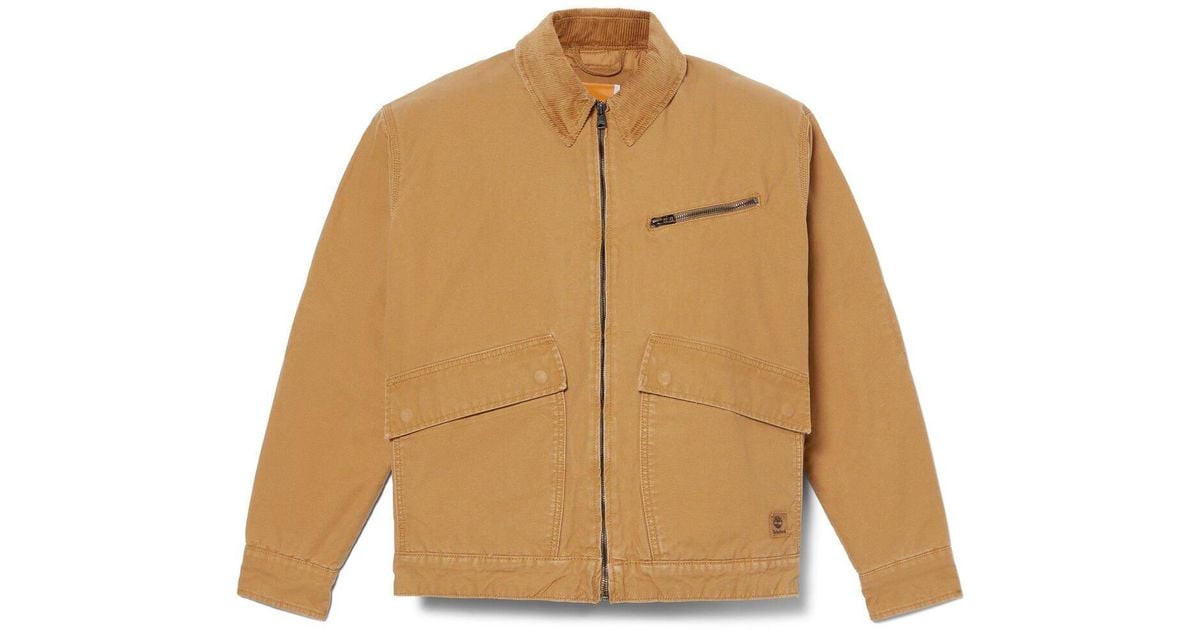 Timberland Strafford Washed Canvas Insulated Field Jacket in Brown for ...