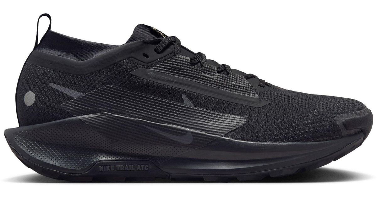 Nike Pegasus Trail 5 Gore-Tex Running Shoes in Blue for Men | Lyst UK