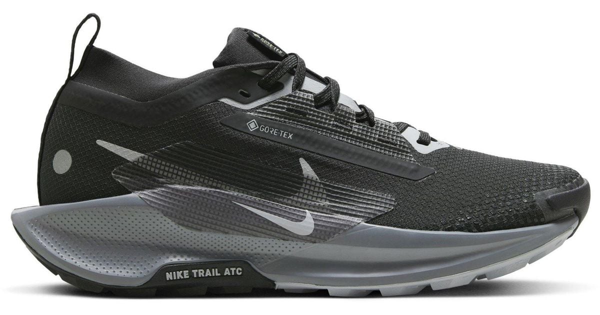 Nike Pegasus Trail 5 Gore-Tex Running Shoes in Black | Lyst UK