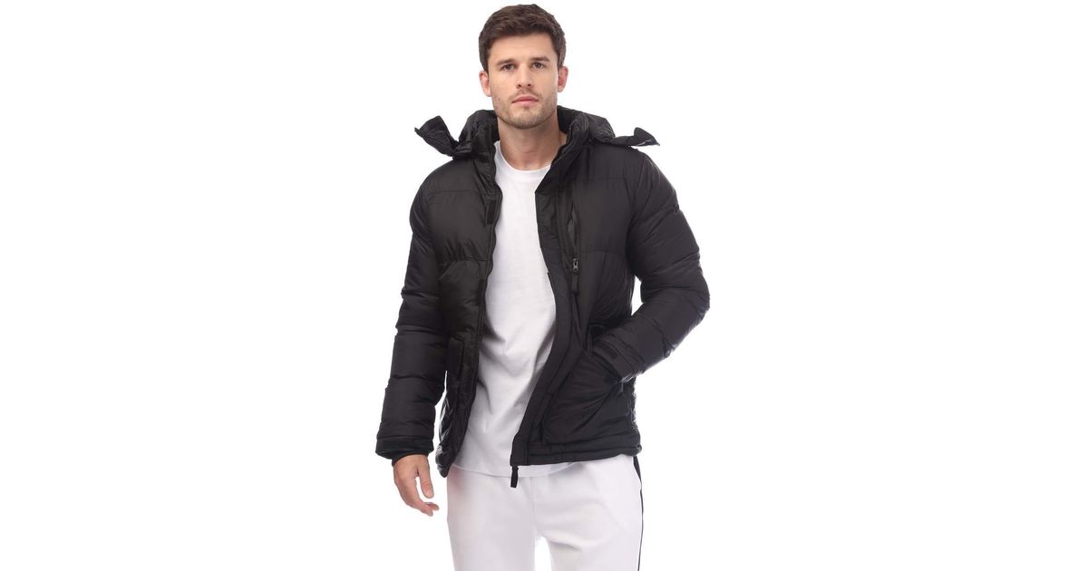 Loyalty And Faith Addition Padded Puffer Jacket in Black for Men | Lyst UK