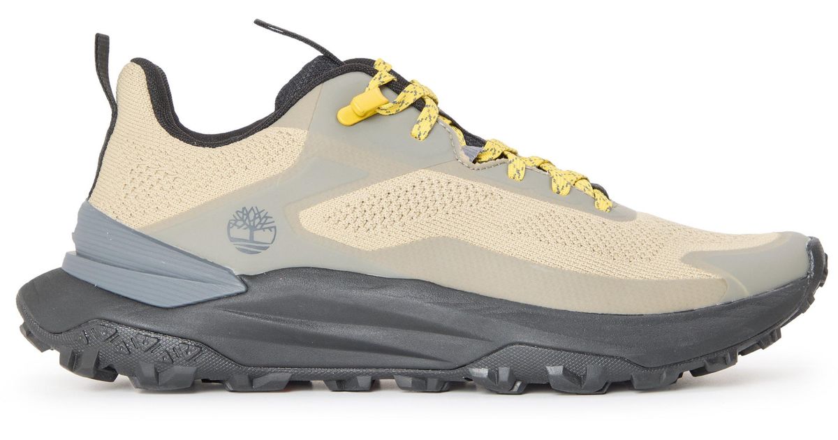 Timberland Low Lc Sneaker Low-Top Trainers for Men | Lyst UK