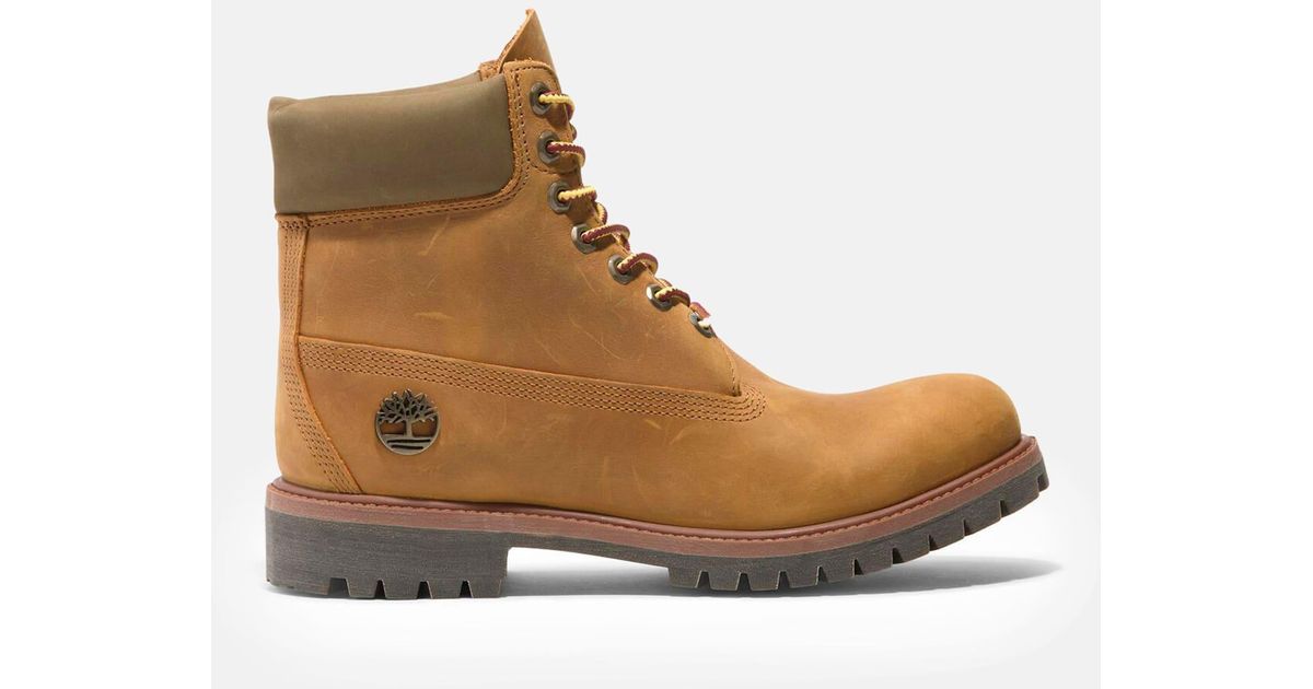 Timberland Premium 6 Inch Lace Up Waterproof Boot Full Grain in Brown ...