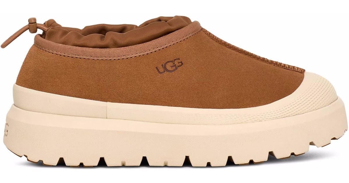 UGG Sneakers in Brown for Men | Lyst