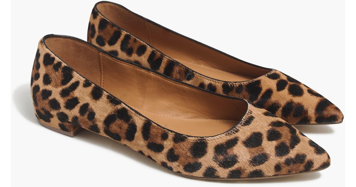 Marina Leopard Calf Hair Pointy Toe Flats In Brown Lyst Ph