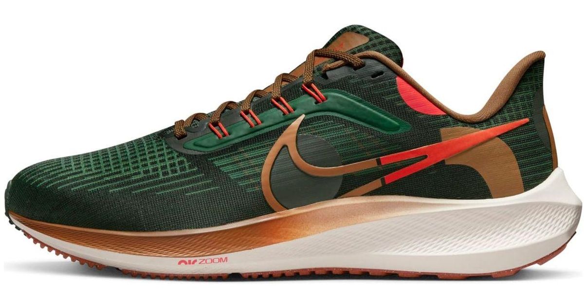 Nike X Hola Lou Air Zoom Pegasus 39 'A.I.R. in Brown for Men | Lyst UK