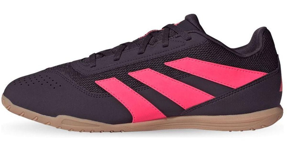 adidas Predator Club Indoor Sala 'Vivid Horizon Pack' in Purple for Men ...