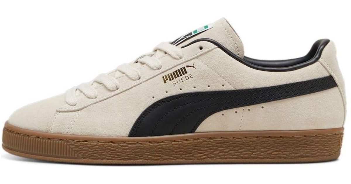 PUMA Suede Terrace 'Alpine Snow Gum' in White for Men | Lyst