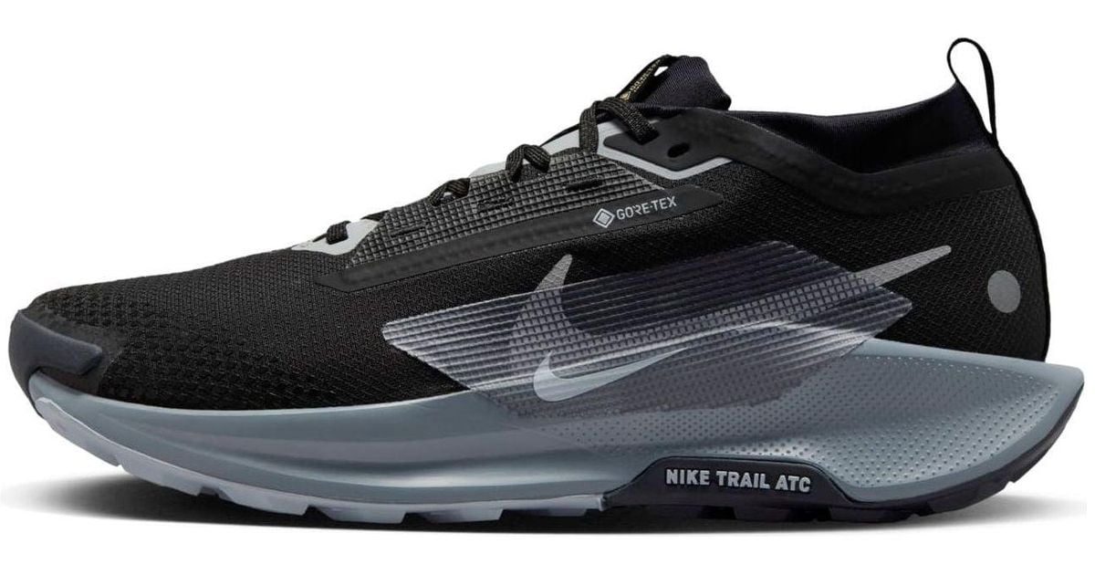 Nike Pegasus Trail 5 Gore-Tex Wolf' in Black for Men | Lyst