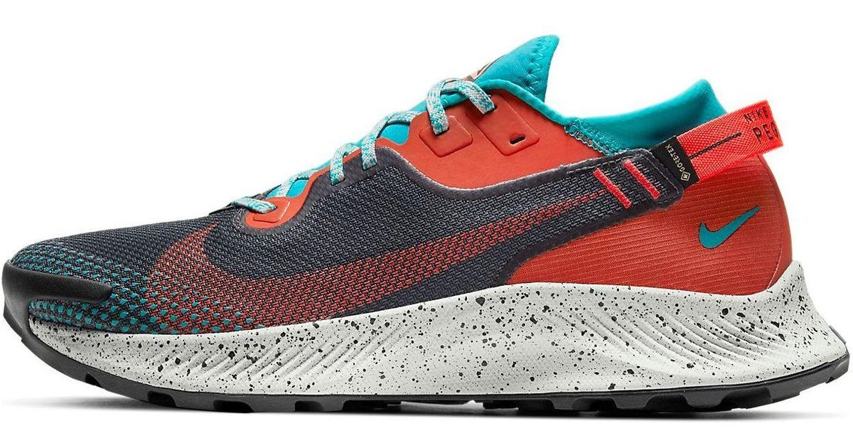 Nike Peg Trail 2 Gtx