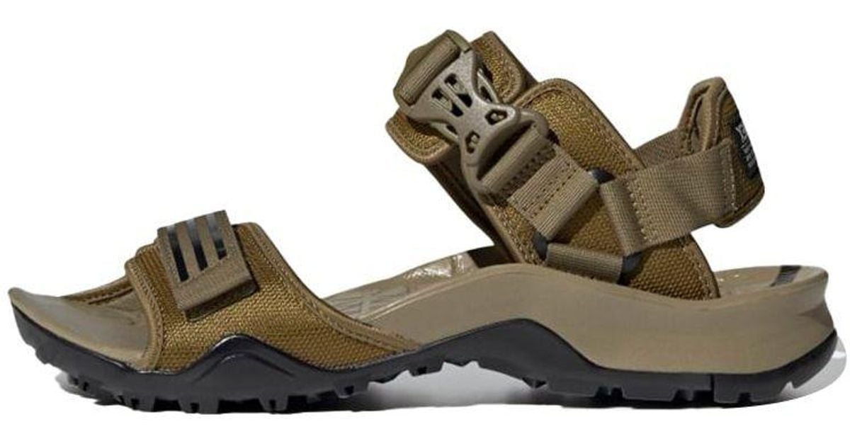 adidas Terrex Cyprex Ultra 2 Dlx Sandal 'Wild Moss' in Green for Men | Lyst