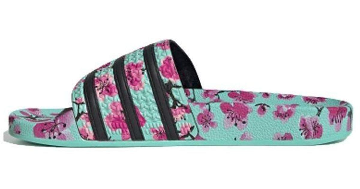 adidas Arizona X Adilette Tea With Ginseng And Honey' in Blue for Men ...