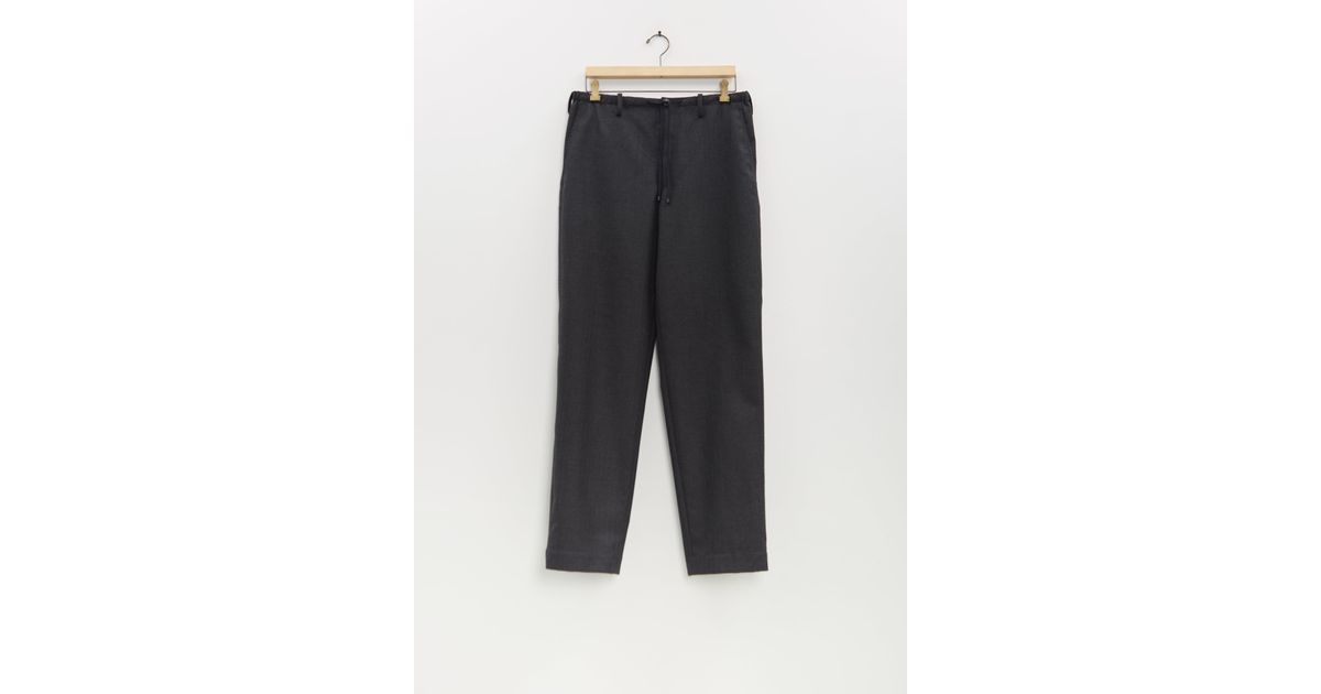 Dries Van Noten Penny Long Wool Pants in Gray | Lyst